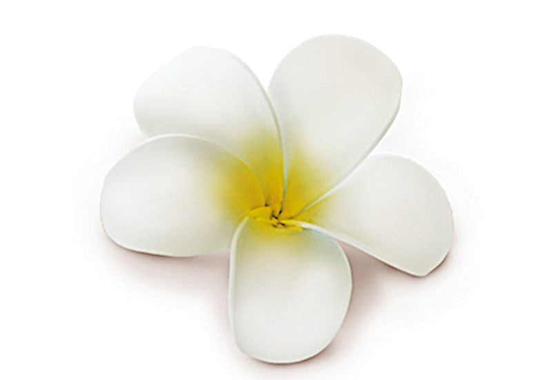 Foam Hair Clip, Plumeria | Island-Inspired Hair Accessory – Our Island ...
